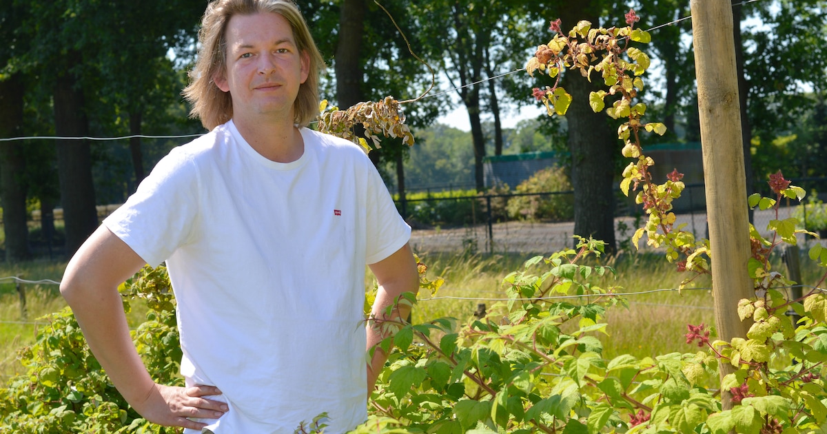 Waarom chef Daan zijn ingrediënten haalt bij de boerderij