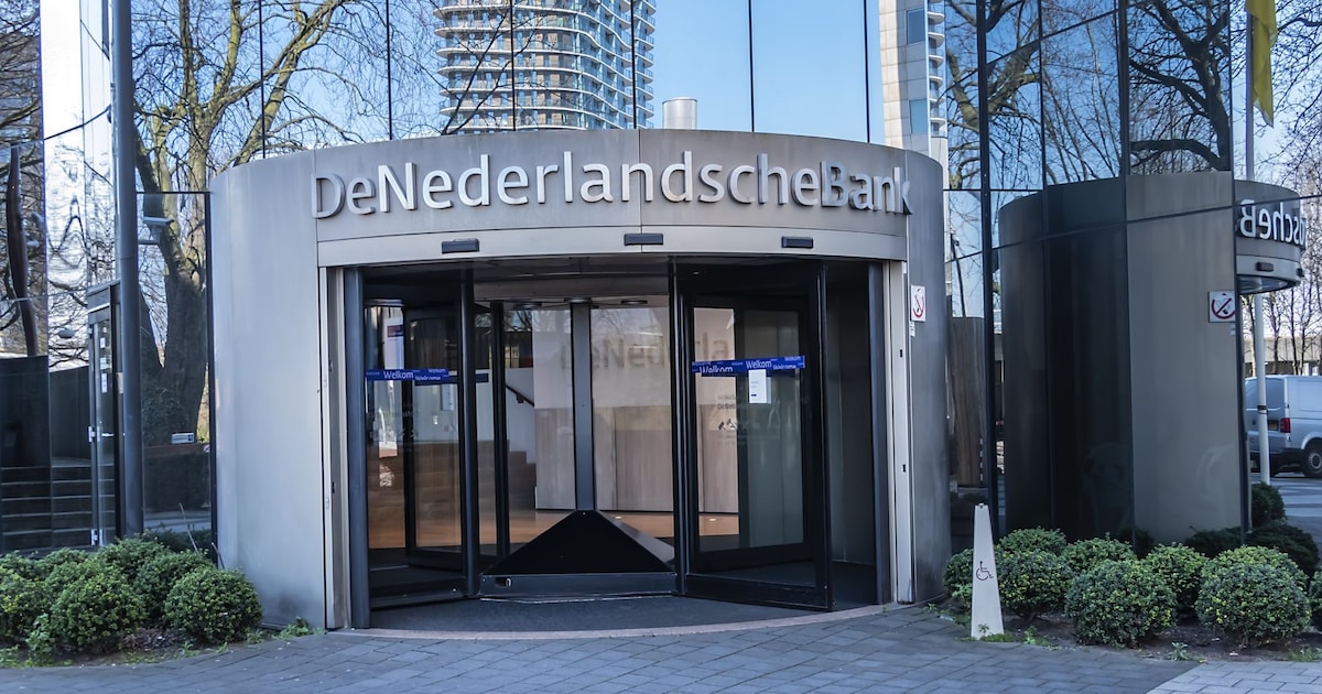 DNB vindt dat zzp'er niet bijdraagt aan productiviteitsgroei